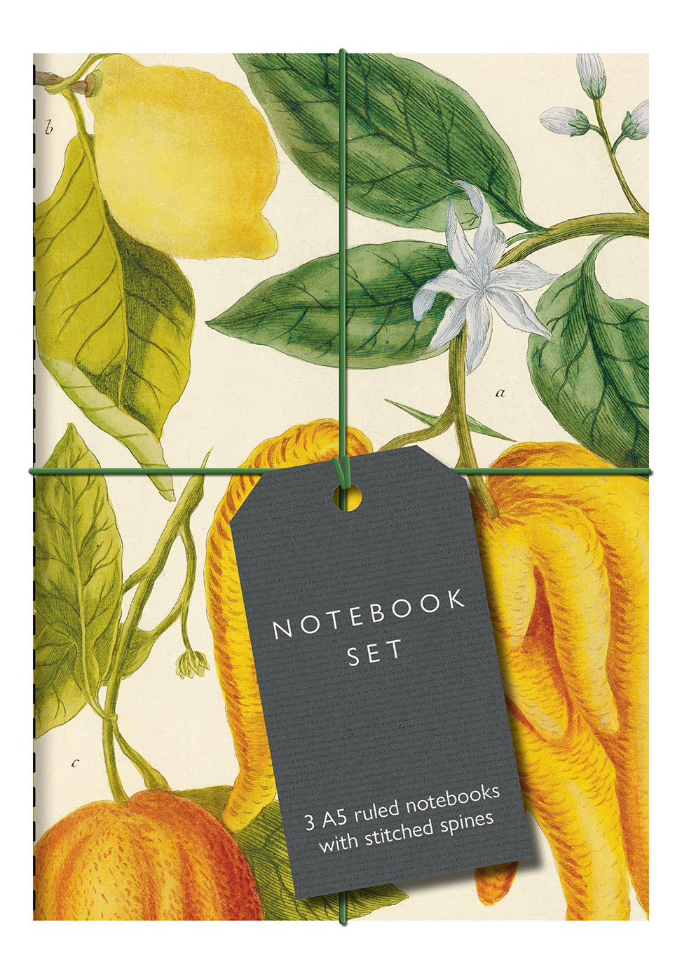 Botanical Art Notebook Set | The Cookery Book